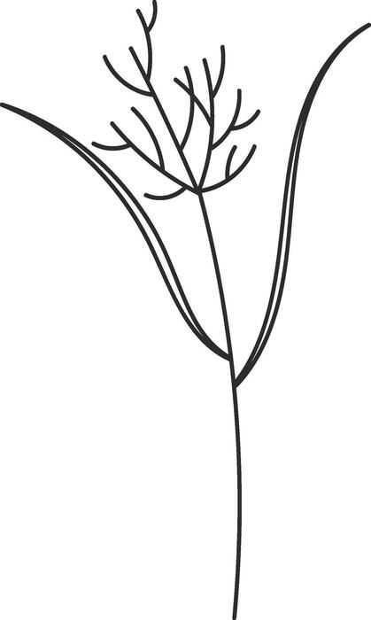 Black Line Flower Vector Art, Icons, and Graphics for Free Download