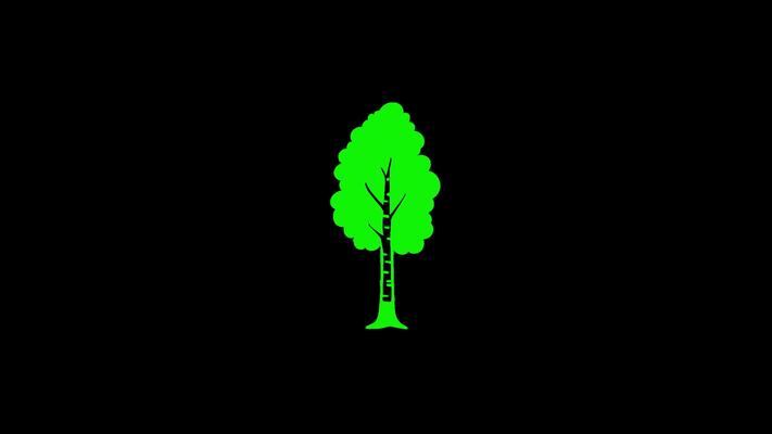 Growing Tree Animation Stock Video Footage for Free Download
