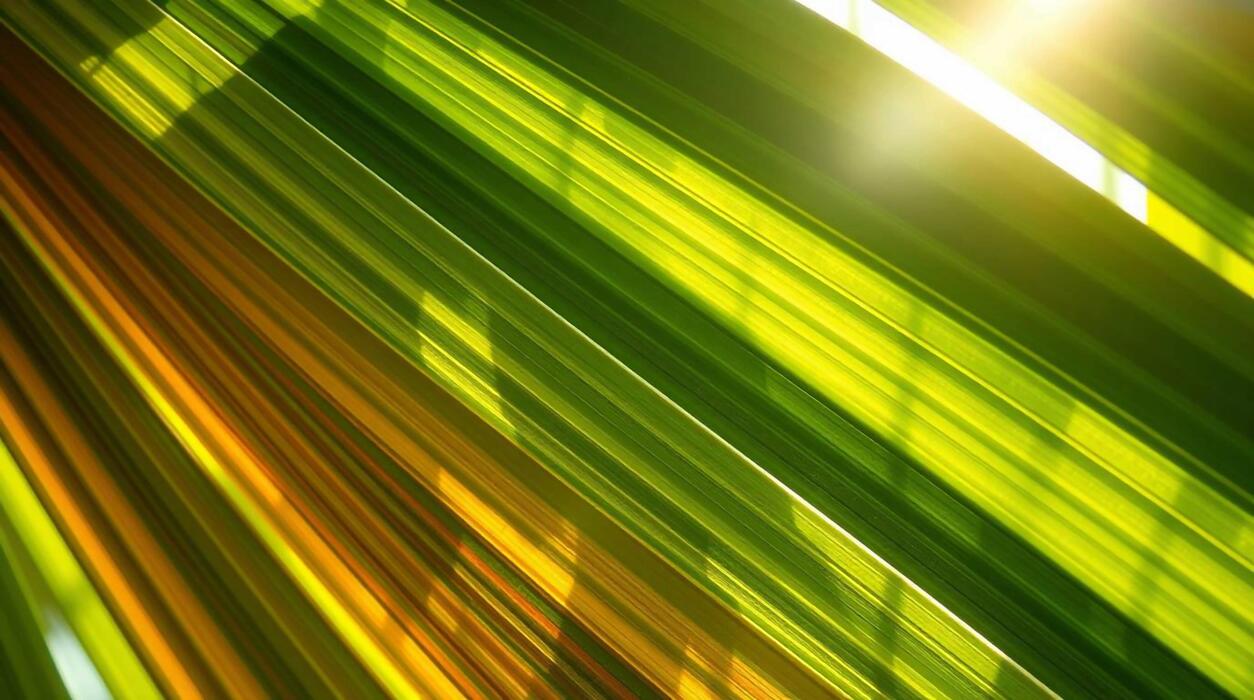 Excel Background Stock Photos, Images and Backgrounds for Free Download