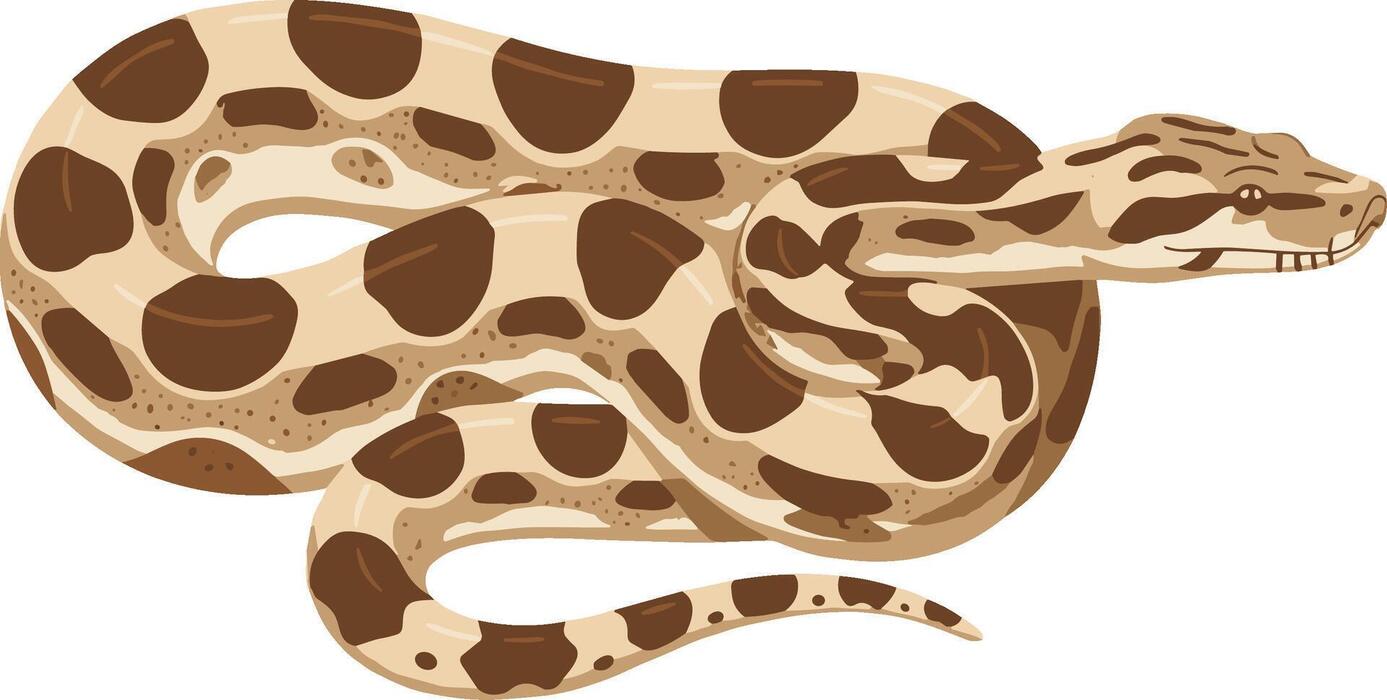 Python Body Vector Art, Icons, and Graphics for Free Download