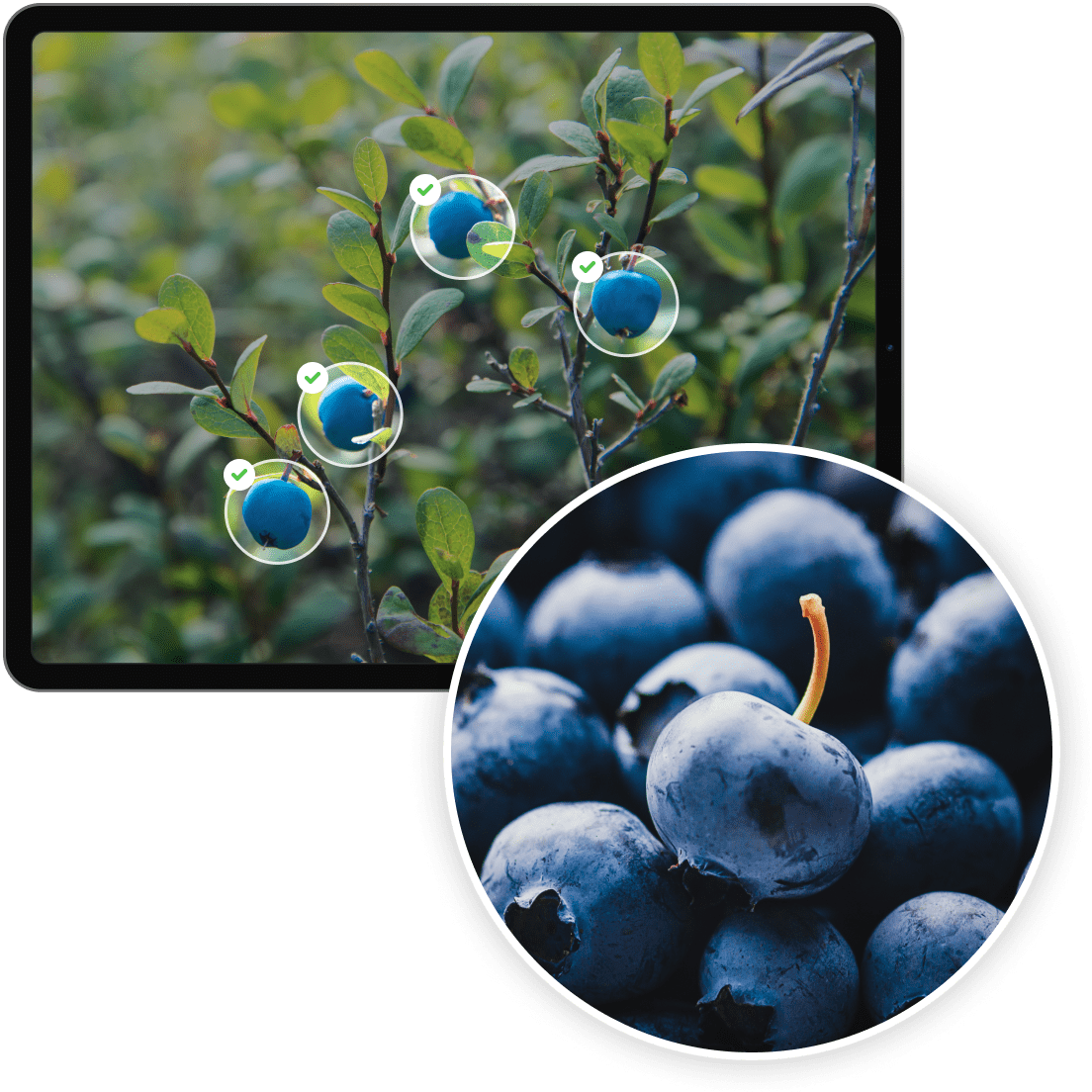 Free AI Reverse Image Search | Vecteezy